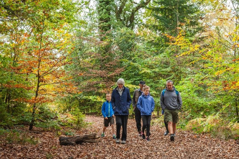 Best Autumn Walks in Cornwall | Harbour Holidays