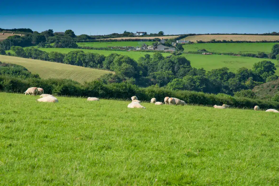 St Issey Holiday Cottages, Lets and Homes | Harbour Holidays